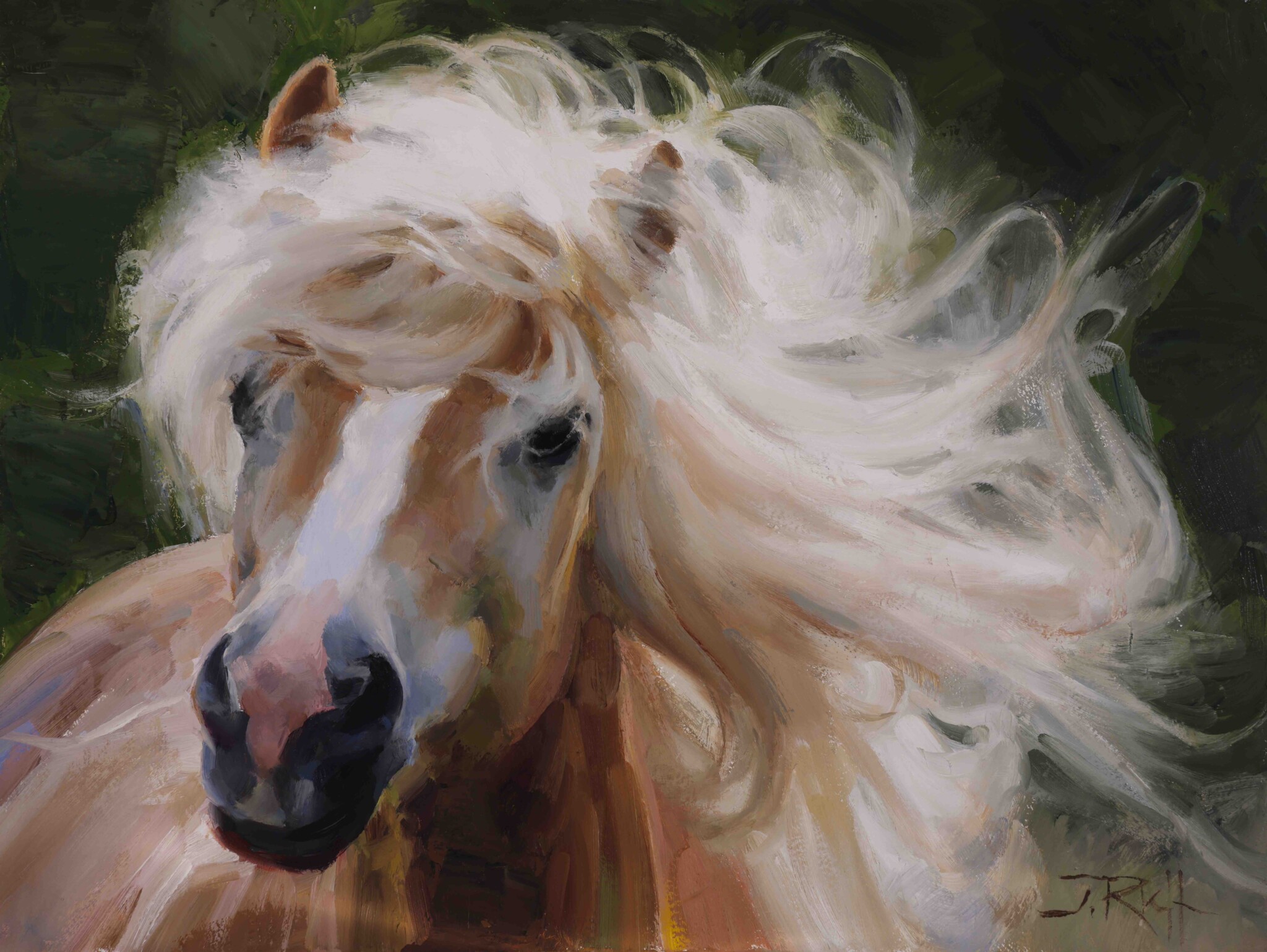 JASON RICH | Legacy Gallery Inc.