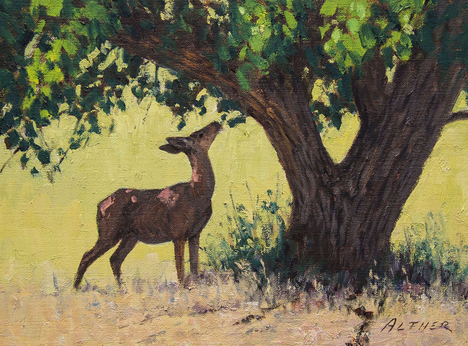 WILLIAM ALTHER | Legacy Gallery Inc.