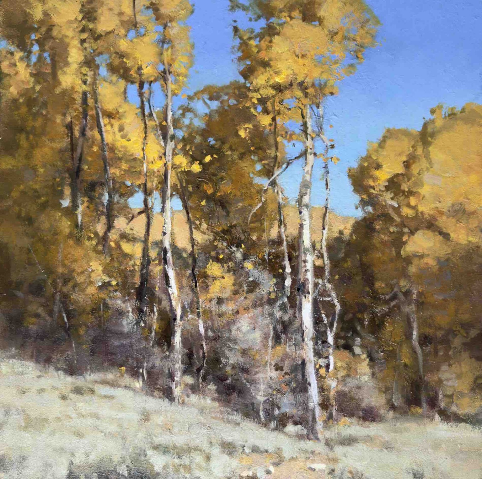 SCOTT CHRISTENSEN | Legacy Gallery Inc.